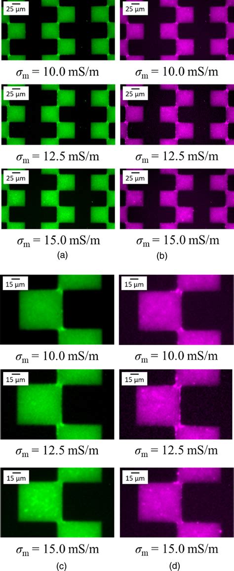 Quantitative Evaluation Of Dielectrophoretic Separation Efficiency Of Cancer Exosomes Based On