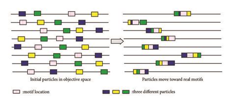 Interpretation Of Particle Trajectories In The Search Space Download Scientific Diagram