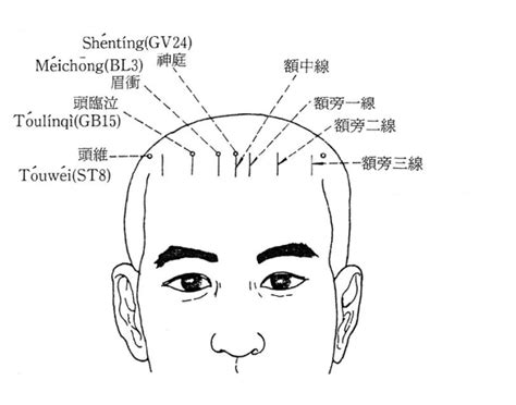 Scalp Microsystems Frontal Region Quiz