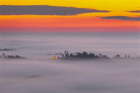 안개 안개가 자욱한 가을 Pixabay의 무료 사진 Pixabay