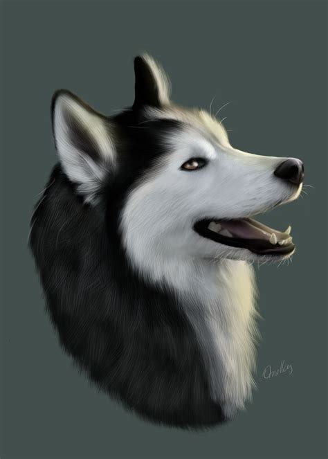 Husky Portrait By Nellybears On Deviantart