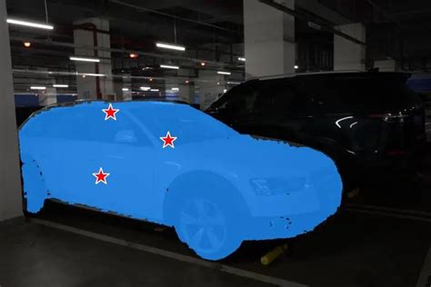 How Robustsam Helps With Blurrydegraded Image Segmentation