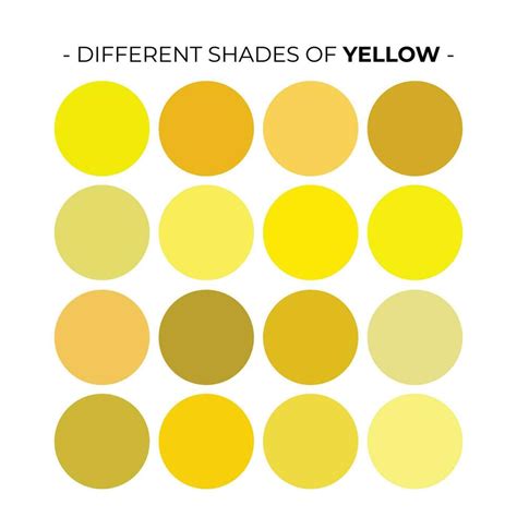 Vector Color Palette Set Design Template Multi Color 23955151 Vector