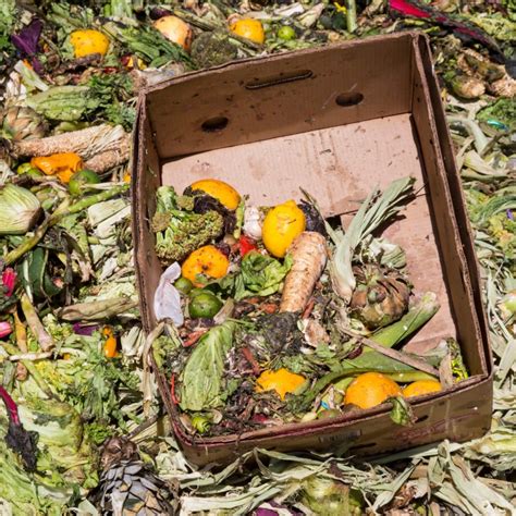 제대로 버리면 자원이 됩니다 올바른 음식쓰레기 분리배출 방법 네이버 블로그