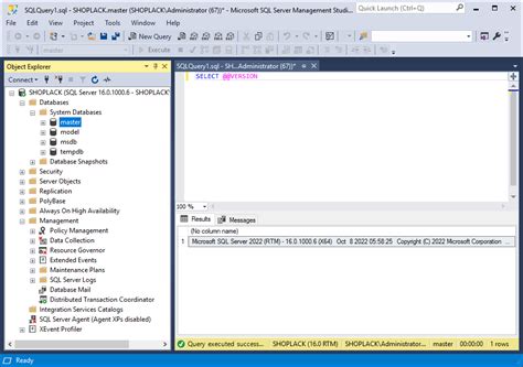 Microsoft Sql Server 2022 Developerenterprise X64