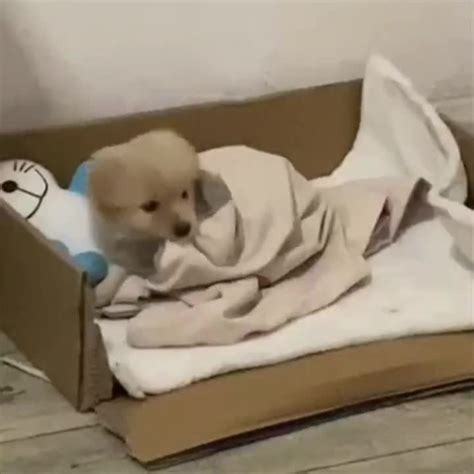 Obada Hattab On Linkedin 😅