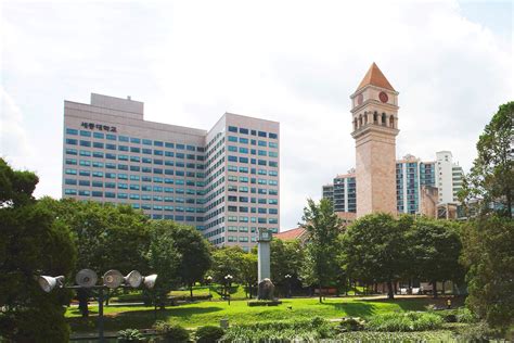 sejong university