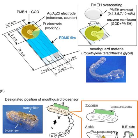 A Schematic Image Of The Glucose Biosensor On The Polyethylene