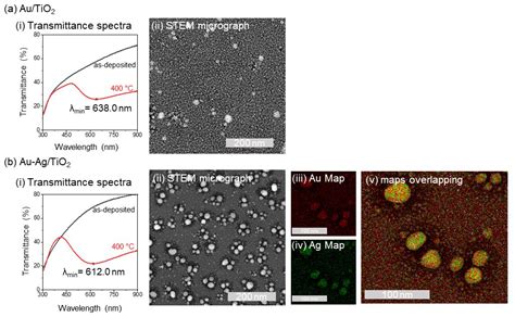 Biosensors Free Full Text Critical Issues On The Surface Functionalization Of Plasmonic Au