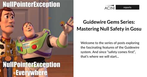 Guidewire Gosu Code Acini