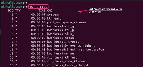 How To List Running Processes In Ubuntu Top Ways Greenwebpage Community