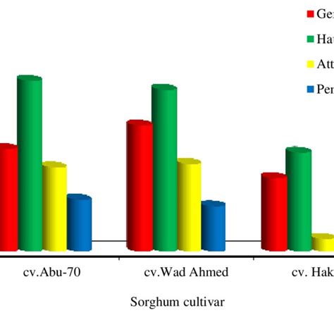 Effects Of In Situ Root Exudates Of Sorghum Cultivars On Early