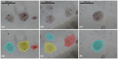 Segmentation Examples A B C Original Images D E F Segmented Download Scientific