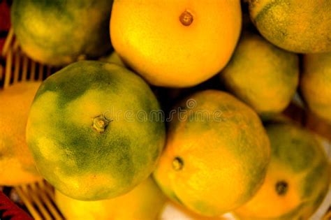 Citrus Sweet Orange Stock Image Image Of Gourd Vegetable 294211279