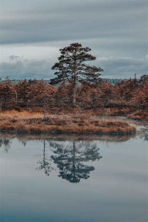 Data Warehousing Redshift Bigquery Snowflake Innovative Data Science And Ai Consulting