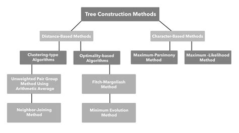 Phylogenetic Tree Construction Methods Download Scientific Diagram
