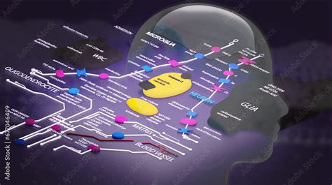 Dramatic Visual Of Brain Circuits Mapped Onto A 2d Surface With Labels