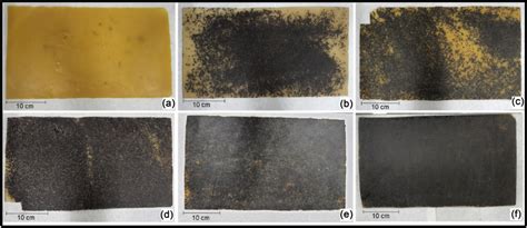 Raw Material For The Tubes Manufactured With Different Proportions Of Download Scientific