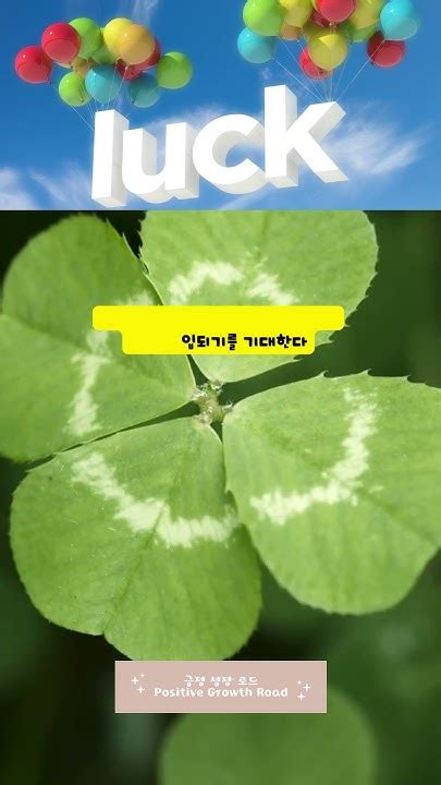 성공 채널 행운을 강화하는 긍정 확언 Shorts 동기부여 자기계발 자기개발 부자 좋은글 행운 끌어당김의법칙 자기확언 긍정확언 Youtube