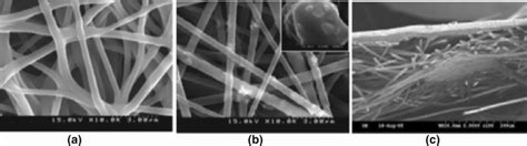 Sem Of Electrospun Polyurethane Nanofiber Web A Electrospun