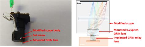 Imaging With Thin Grin Lenses Ucla Miniscope