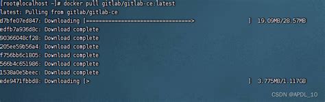 Docker 部署 Gitlab 服务器（详细步骤）docker部署gitlab Csdn博客