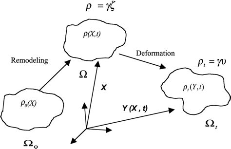 Lagrangian Description For The Remodeling Problem Download
