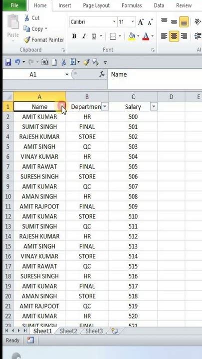 How To Use Wildcard In Excel Filter Data In Excel Wildcard Viral