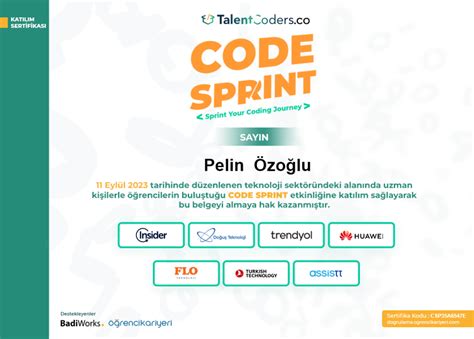 pelin Özoğlu on linkedin code sprint
