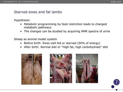 Ppt Basic Principles Of Nmr Based Metabolomics Powerpoint Presentation Id 2416998