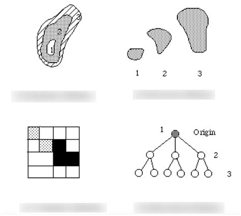 Diffusion Of Diseases Diagram Quizlet