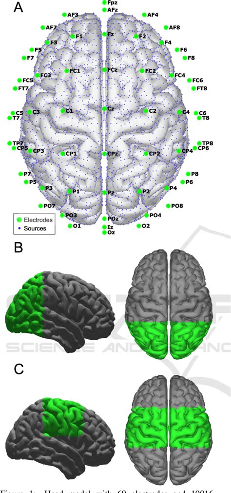 Figure 1 From Low Density Eeg For Source Activity Reconstruction Using Partial Brain Models