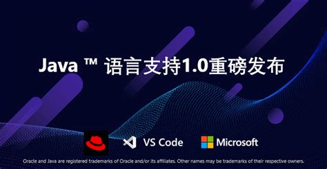 vs code 的 java 语言支持 1 0 版本，正式发布！ 知乎