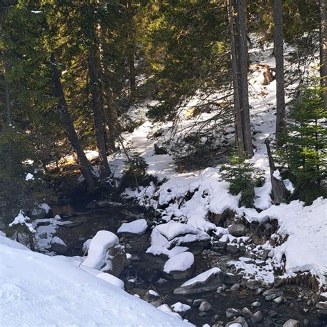 Create Dapr Applications With Sidecar By Daprd Milan Skorić Posted On The Topic Linkedin