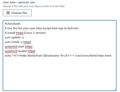 aws service elastic cloud compute ec2 lab by cyber bert medium