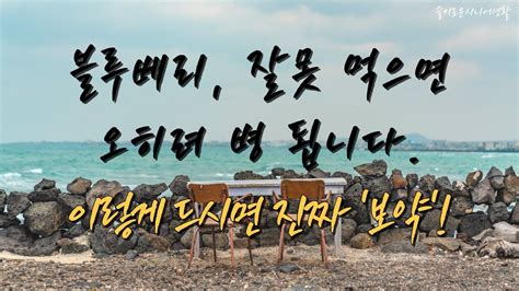 블루베리 잘못 먹으면 오히려 병 됩니다이렇게 드시면 진짜 보약 Youtube