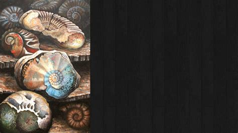 Jo Sheppard Browse Archive