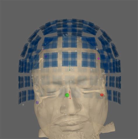 Python Mne 源空间和正模型03：自动源配准的方法 荔枝树