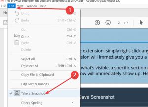 How To Save Browser Screenshots As PDF