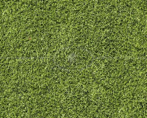Green Grass Texture Seamless 13012 Green Grass Texture Seamless 13012