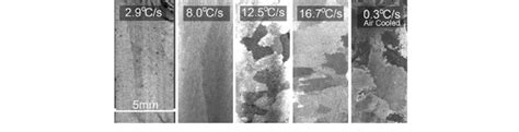 As Solidified Macrostructures Indicating Directional Solidification