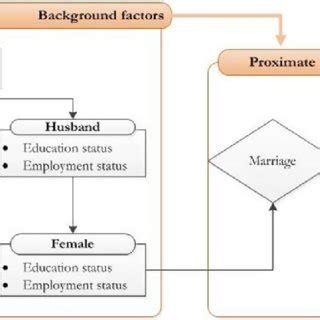 A Two Sex Conceptual Framework Adapted From Bongaarts 1978 Download Scientific Diagram