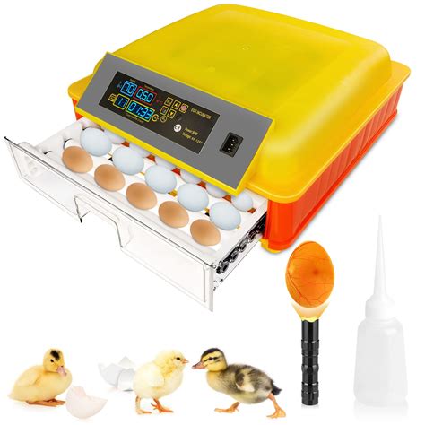 Incubator Temperature For Hatching Eggs China 46 Egg Incubator For