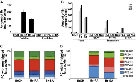 Icp Ms Measurement And Lc Ms Analyses Of The Cells Under The Same
