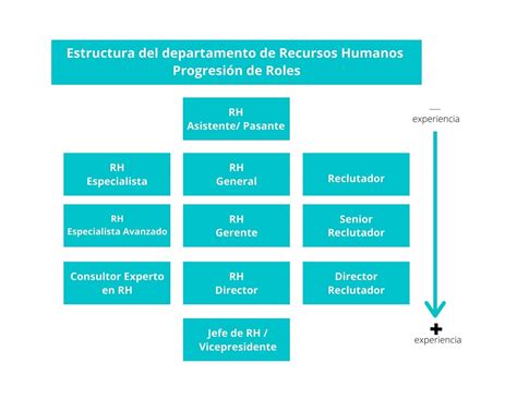 ¿qué Son Los Recursos Humanos Concepto Funciones E Importancia