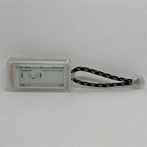 Pwnagotchi Buy Pwnagotchi Pwnagotchi Kit What Is A Pwnagotchi