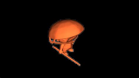 Pandle By Peter Farell Download Free Stl Model