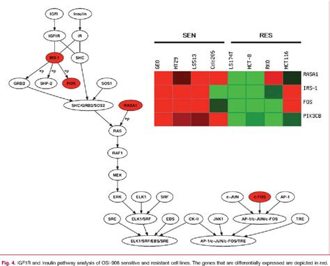 Figure 1 From Development Of An Integrated Genomic Classifier For A Novel Agent In Colorectal