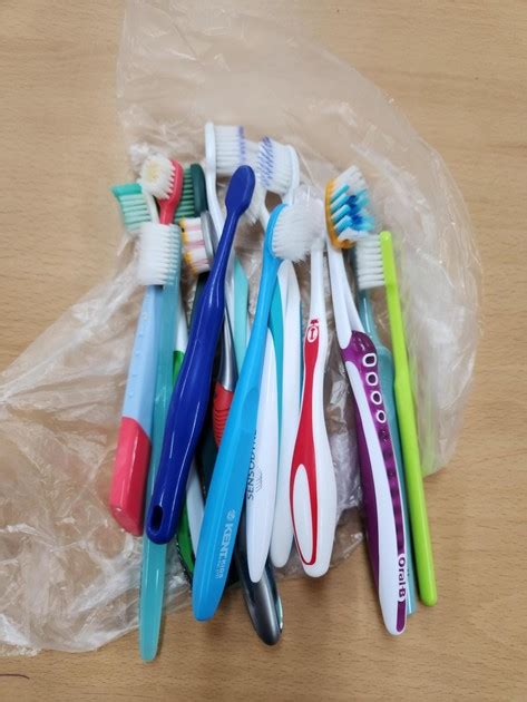 서울잠실초등학교 대나무 칫솔교환 캠페인 후기 대나무 칫솔 칫솔 교환 캠페인 친환경 학교 생태 전환 교육 환경 교육 칫솔 교환 캠페인 구강교육 플라스틱