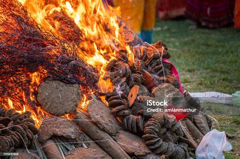 Cow Dung Cakes On Thread Kept Together And Used As Alternate Fuel For Cooking Hindu Religious